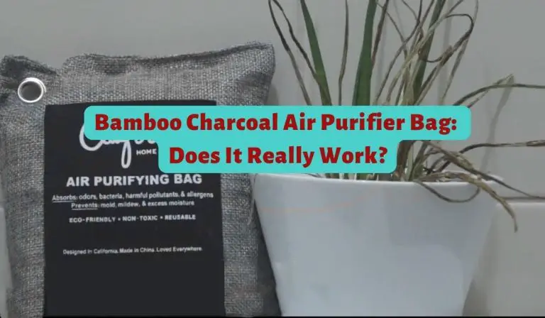 Bamboo Charcoal Air Purifier | 2X More Absorbent
